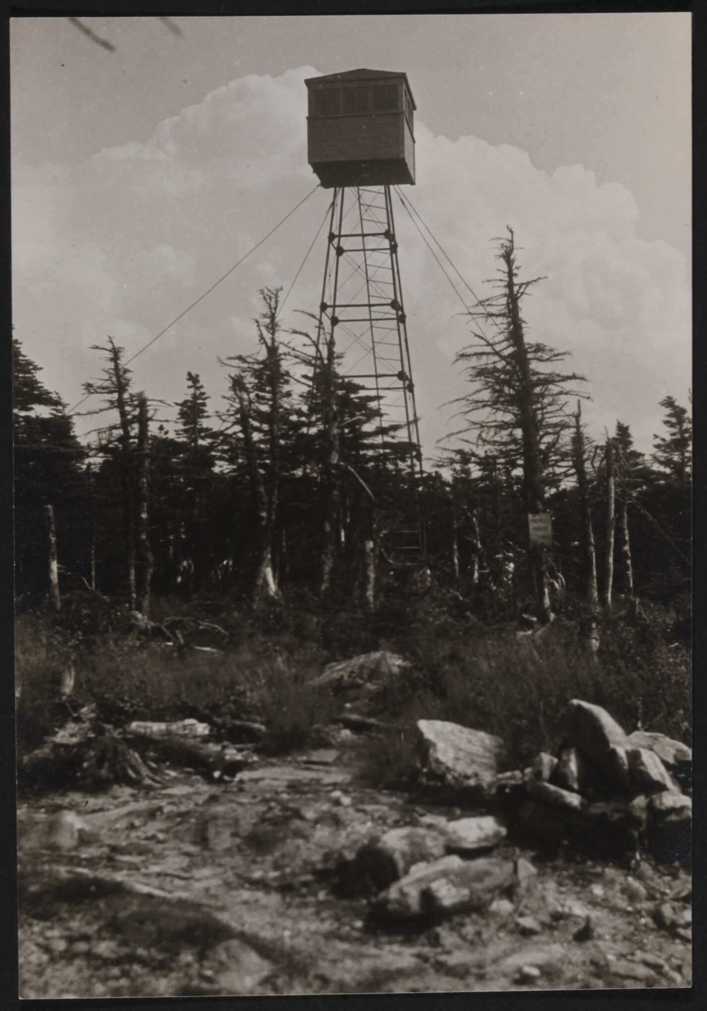 All Along the Watchtower: How Women Forest Fire Lookouts Kept the ...