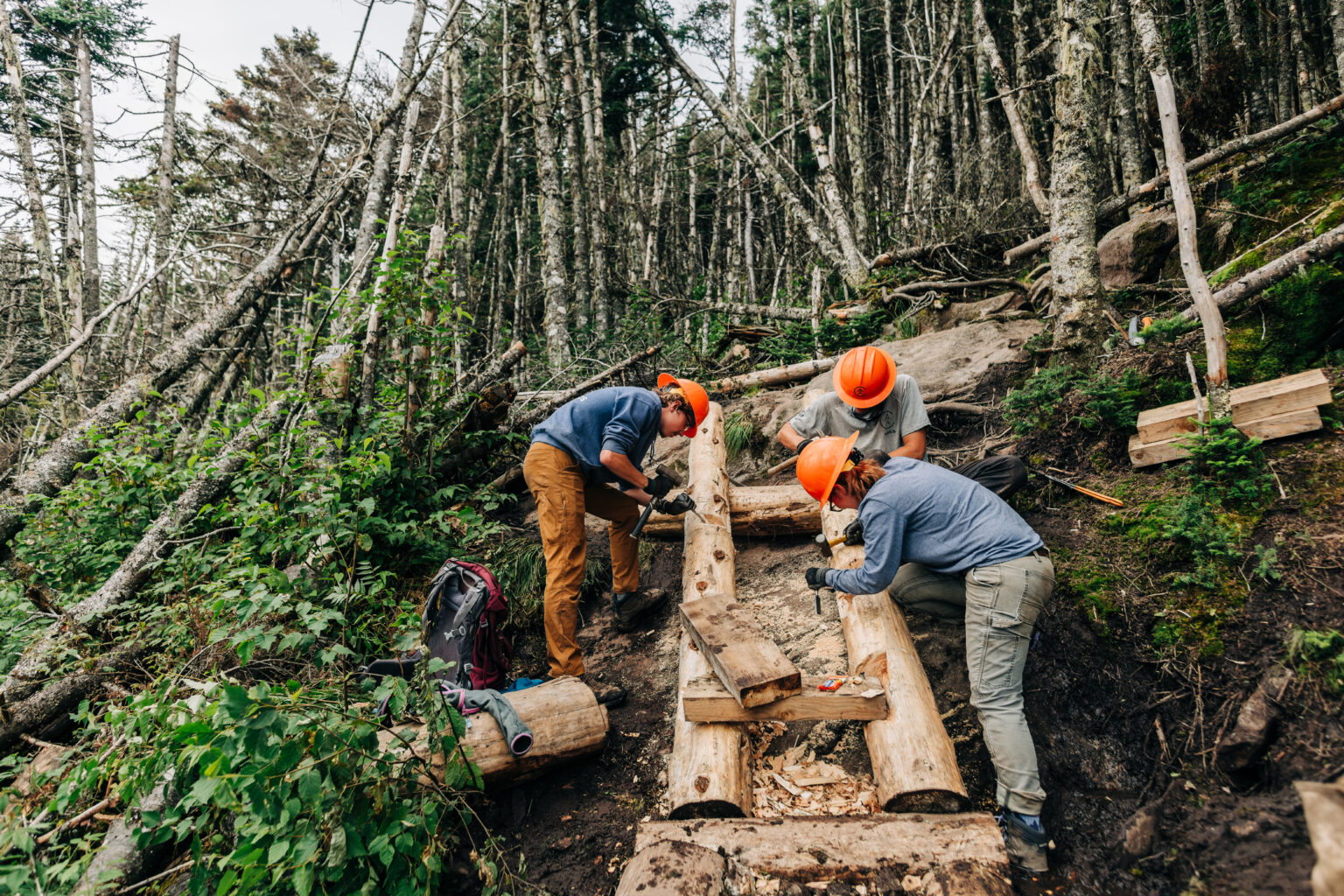 Trail Maintenance | Appalachian Mountain Club (AMC)