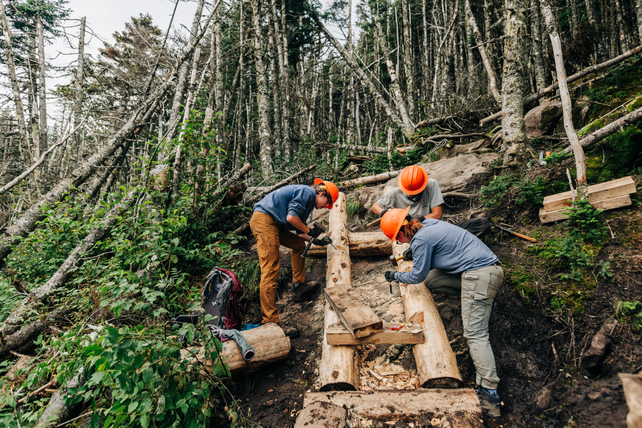 Trail Maintenance | Appalachian Mountain Club (AMC)