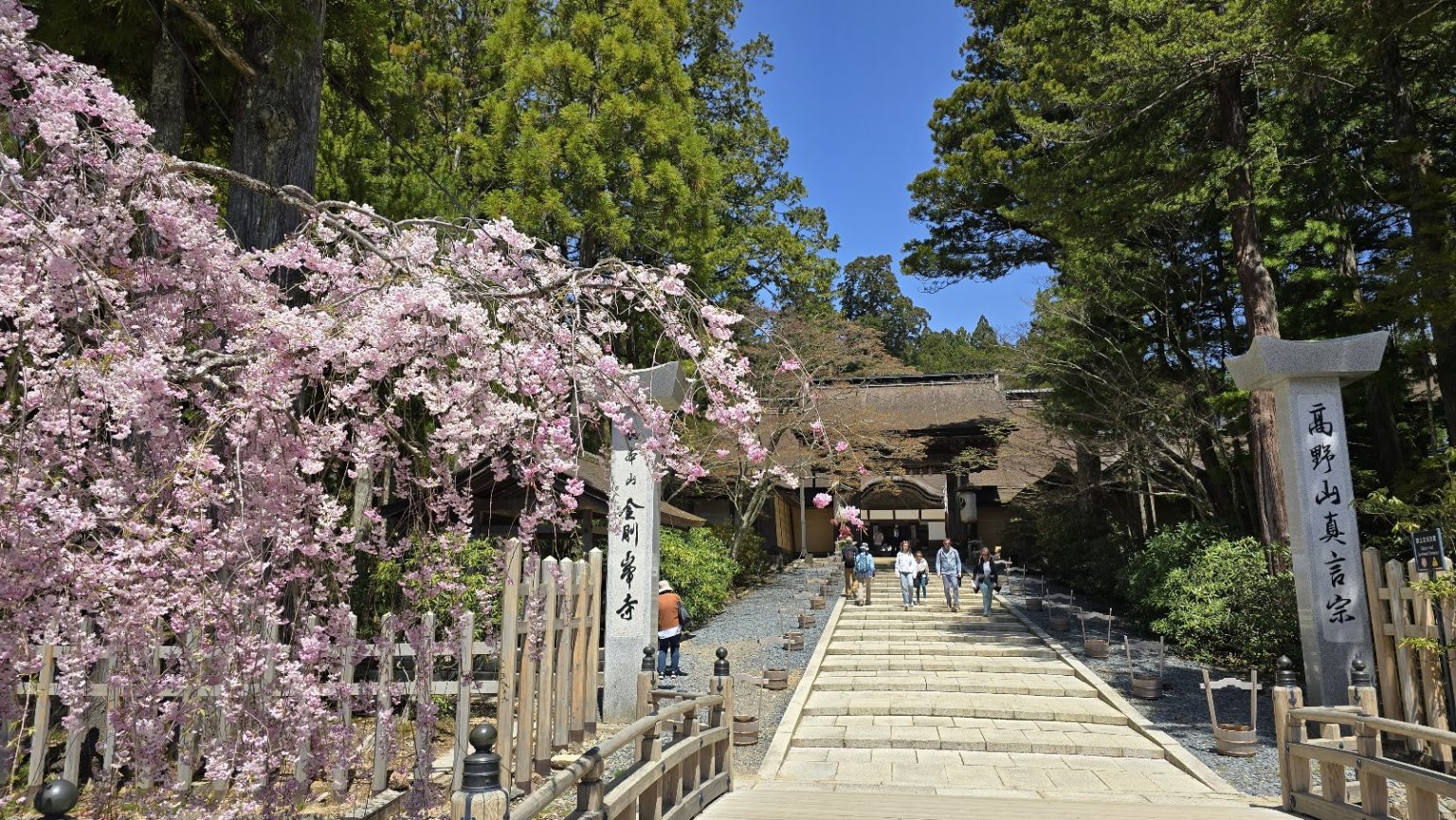 International Dinner Series at Pinkham Notch | Appalachian Mountain ...