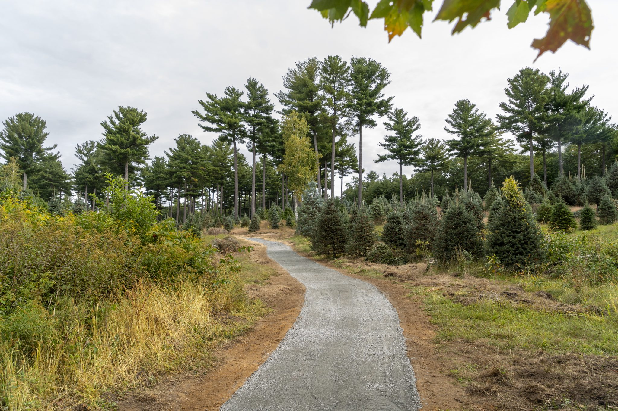 The EXPLORE Act Passed in Congress! Here’s What You Need to Know ...