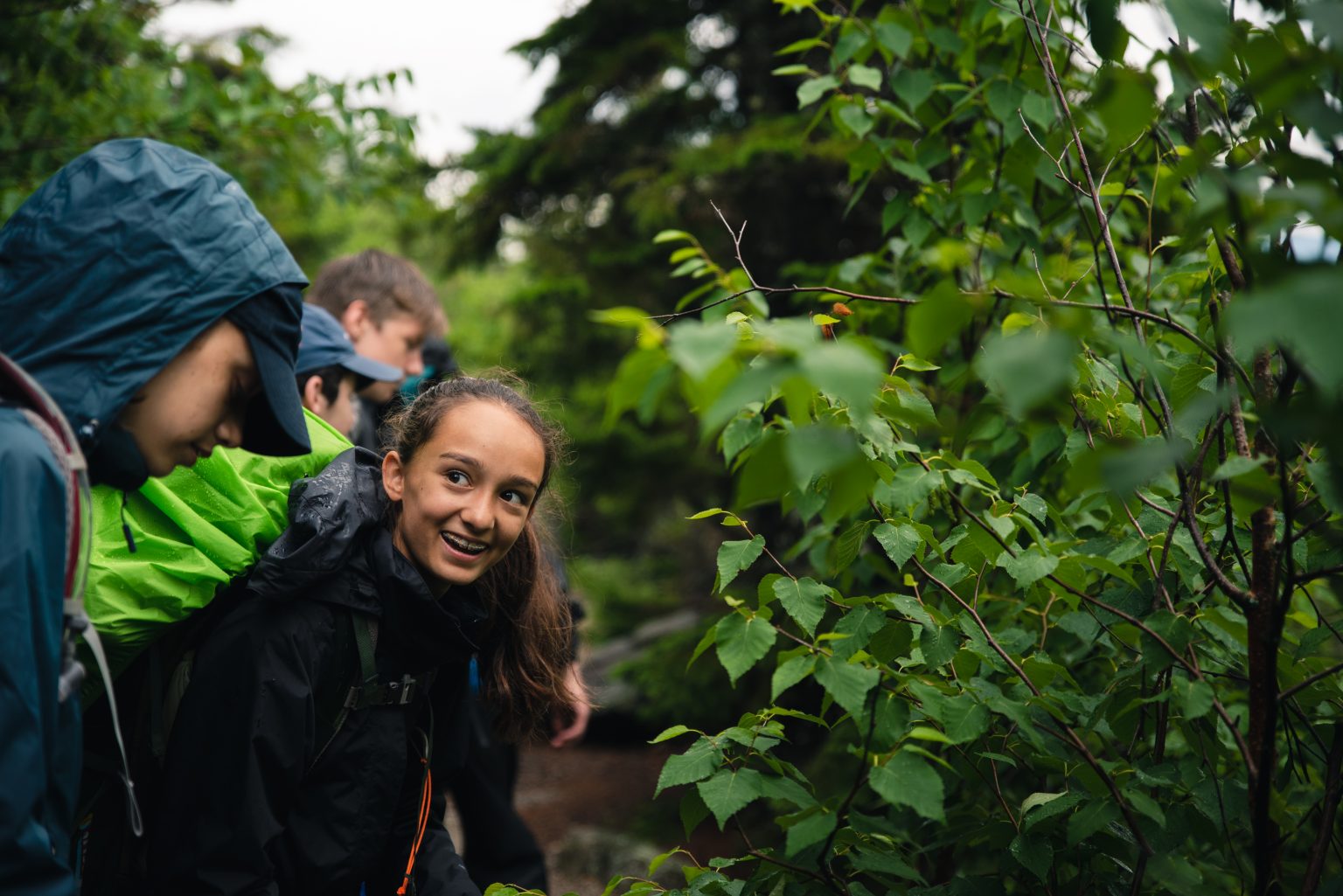 Top 7 Ways to Get Outdoors with AMC in 2025 | Appalachian Mountain Club (AMC)